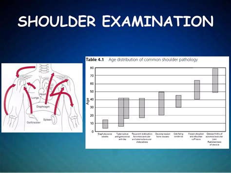 Clinical Shoulder Examination Osce Pptx