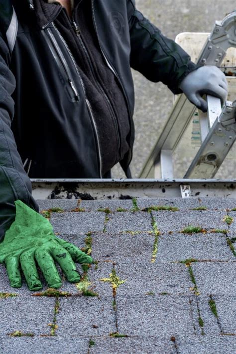 Signs Your Asphalt Shingles Need To Be Replaced Black Water Home