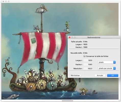Corel Painter Aide Redimensionnement Des Images Et De La Zone De Travail