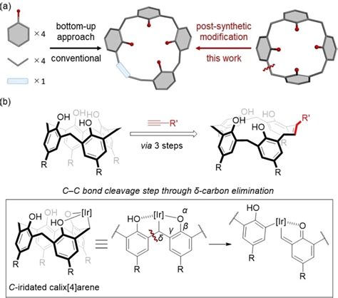A Synthetic Strategies For An Unsymmetrical And Monofunctionalized