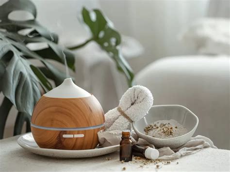 Bikin Kualitas Udara Lebih Baik Ini Perbedaan Air Purifier Humidifier