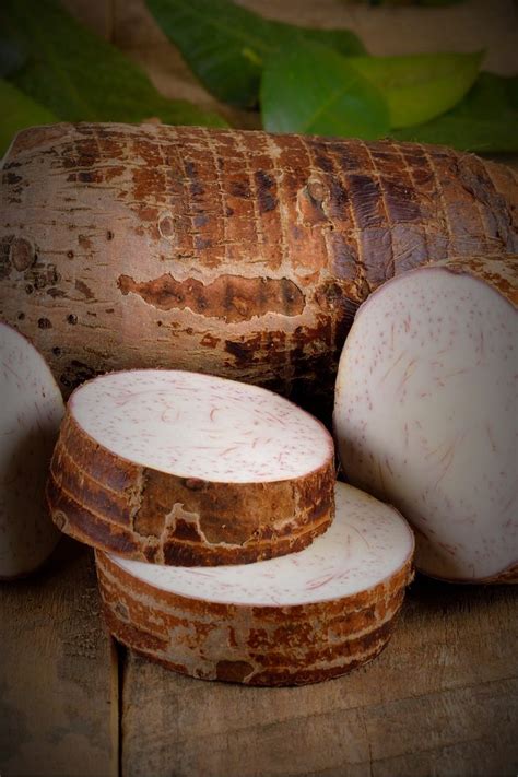 Ube Vs Taro The Ultimate Battle Of Underground Veggies