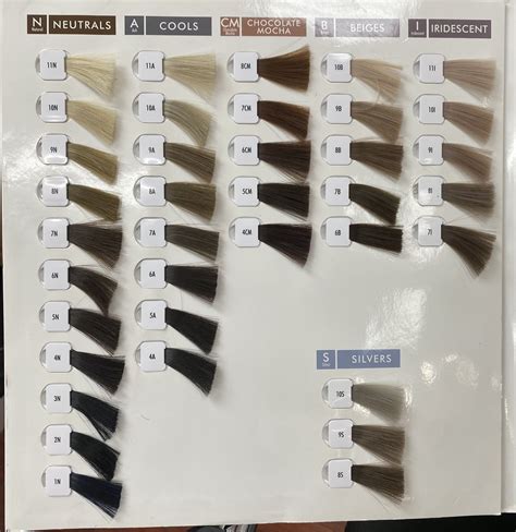 Pin By C C On Lg Chi Master Color Machine Chi Hair Color Chi Hair