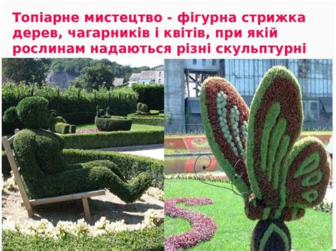 Образотворче мистецтво Ландшафтний дизайн 7 клас Презентація