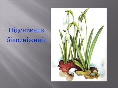 рослини і тварини червоної книги Ppt