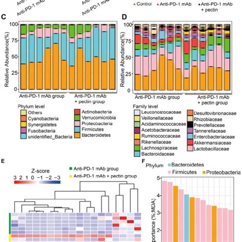 Pectin Supplement Modulated The Gut Microbiota In The Tumor Bearing