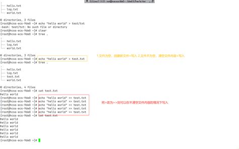 【linux】linux的基本命令（2） Csdn博客