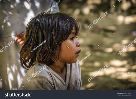 Sierra Nevada De Santa Marta Colombia 스톡 사진 Shutterstock