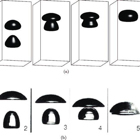 A The Dynamical Motion Of Two 3d Rising Droplets Coaxial Coalescence Download Scientific