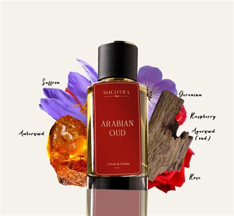 Unveiling Elegance A Comprehensive Guide To Oud Perfume For Men Oud