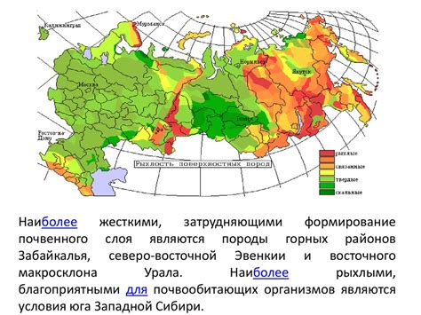 Почвообразующие породы России Тема 8 презентация онлайн