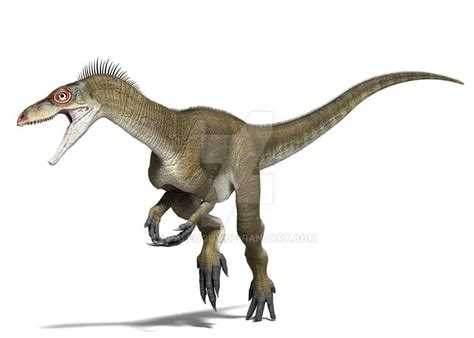 Eoraptor Facts And Pictures