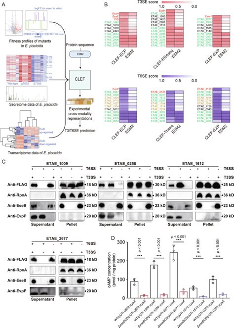 Contrastive Learning Of Language Embedding And Biological Features For