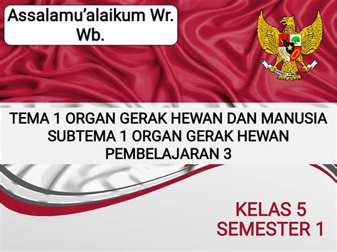 Langkah Kegiatan Pembelajaran Kelas 5 Tema 1 Subtema 1 Pembelajaran 1 Slaunin99 Halaman 1