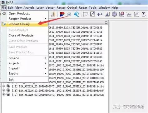 snap批量处理sentinel 2数据 知乎