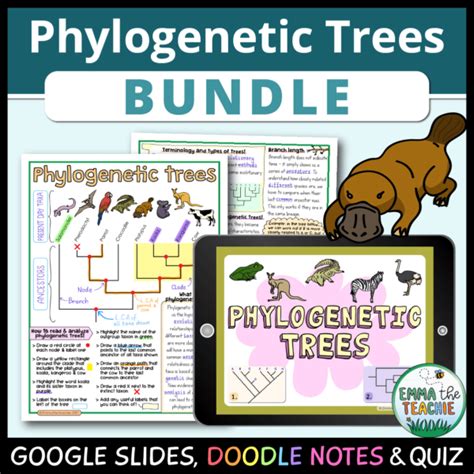 Phylogenetic Trees Lesson Bundle Emmatheteachie Resources