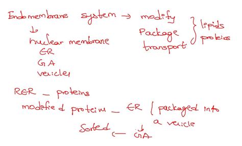 Solved Bioflix Activity Tour Of An Animal Cell Endomembrane System