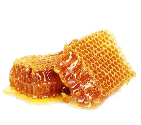 金色美味蜂巢 包站长
