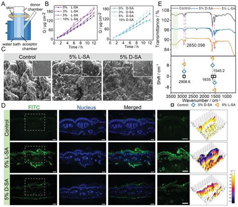 Effects Of Composite Hydrogels On Drug Penetration A Schematic