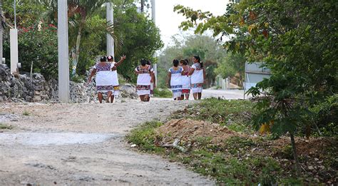 Pedirán Mayas De Quintana Roo Decreto Para Prohibir Transgénicos