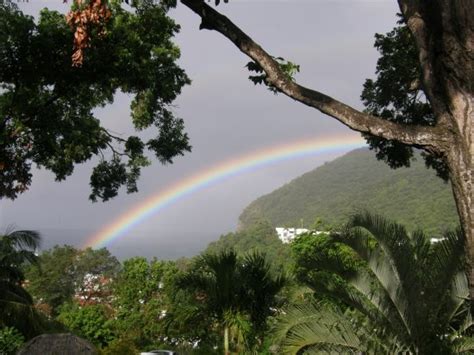 LE MATELOT DE LA BAIE Bewertungen Fotos Preisvergleich Guadeloupe