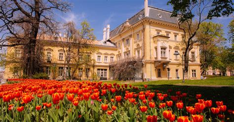 Sofia Grad The Best Dashcam Videos