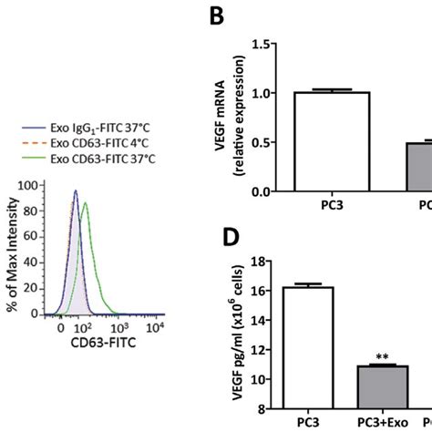 Menscs Derived Exosomes Down Regulate Vegf And Fgf Expression And Nf κb Download Scientific