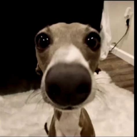 The Batman Nerd Youtube