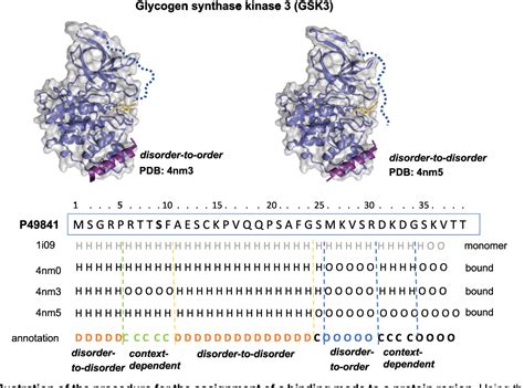 Figure 1 From Sequence Based Prediction Of Fuzzy Protein Interactions