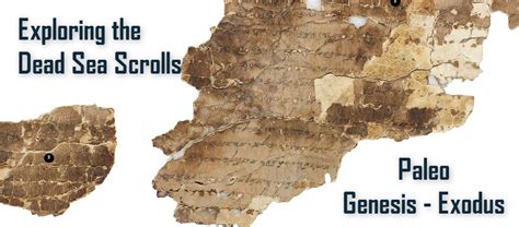 Biblical Archaeology Exploring The Dead Sea Scrolls Paleo Genesis