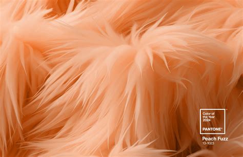 pantone 2024 peach fuzz hex code gelya juliann
