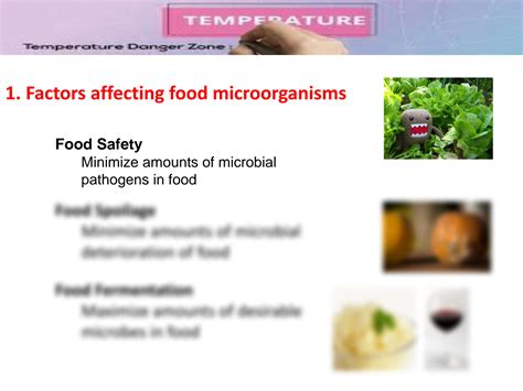 SOLUTION Lecture 4 Factors Affecting Food Microorganisms Updated