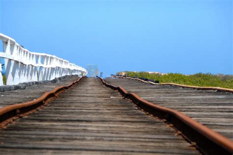 Distorted Vision A Common Retinal Degeneration Symptom