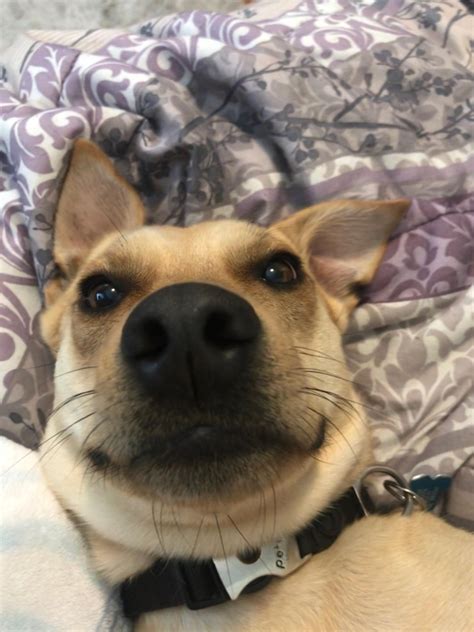 When You Accidentally Open The Front Facing Camera And Notice How Cute