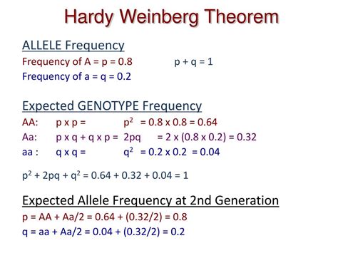 Hardy Weinberg Equation
