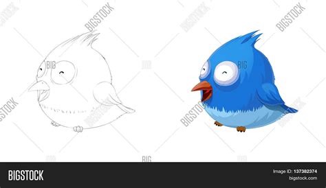 Cute Fat Bird