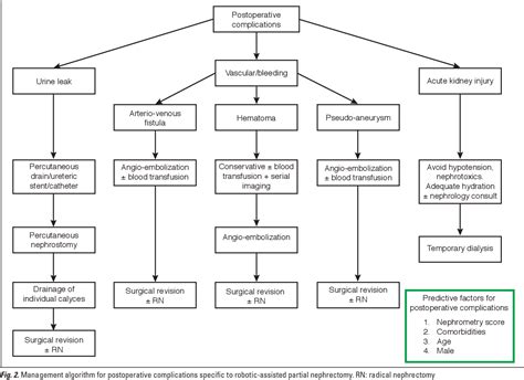 Figure 1 From A Systematic Management Algorithm For Perioperative