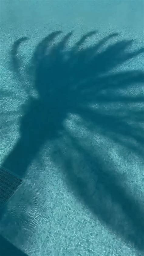 Vida Marina Marassi Vidamarinamarassi • Instagram Photos And Videos