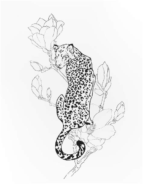 Leopard Coloring Pages Free Printable Pdf