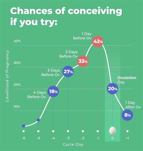 I Am Confused When It Comes To Fertile Days What Day Is The Best For