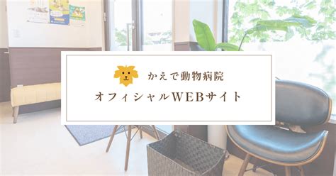 予防診療 三鷹・武蔵境のかえで動物病院｜土日も診療｜24時間web予約