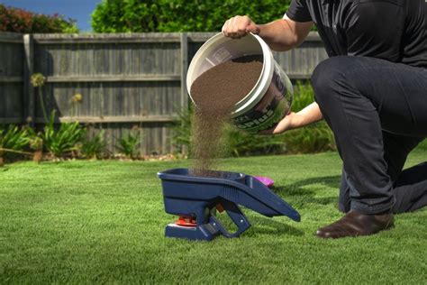 How Do I Remove Nutgrass From My Lawn Lawn Solutions Australia