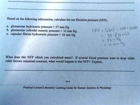 Solved Based On The Following Information Calculate The Net