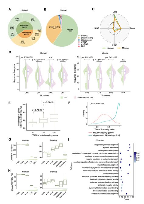 Identification Of Te Derived Tsss A Composition Of Predicted And