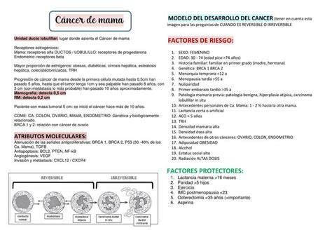Cancer De Mama Apuntes De Medicina Ginecología Udocz