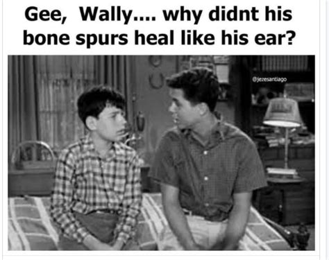 Bone Spur In Chief Draft Dodger Like His Grandfather Who Left Secretly In The Night And