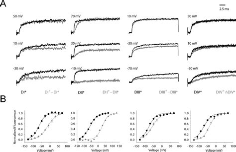 Gating Charge Perturbations Modify Voltage Sensor Movement A The