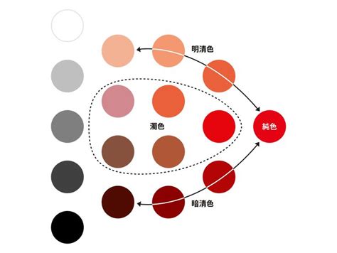 デザイナーじゃなくても知っておきたい色と配色の基本 knowledge baigie 色彩理論 色相 環 色