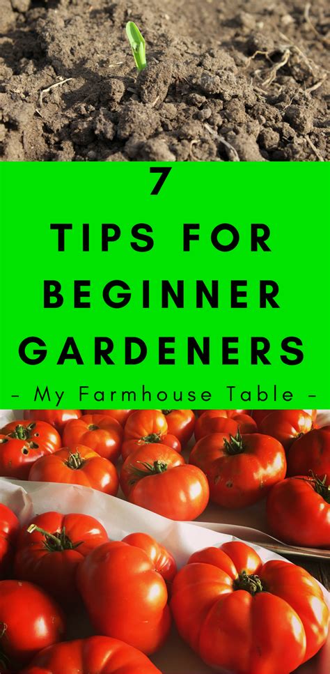 7 Tips For Beginner Gardeners My Farmhouse Table