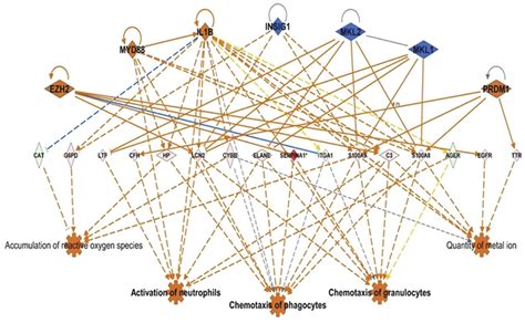 Predicted Regulatory Network Effects Identified From Differential